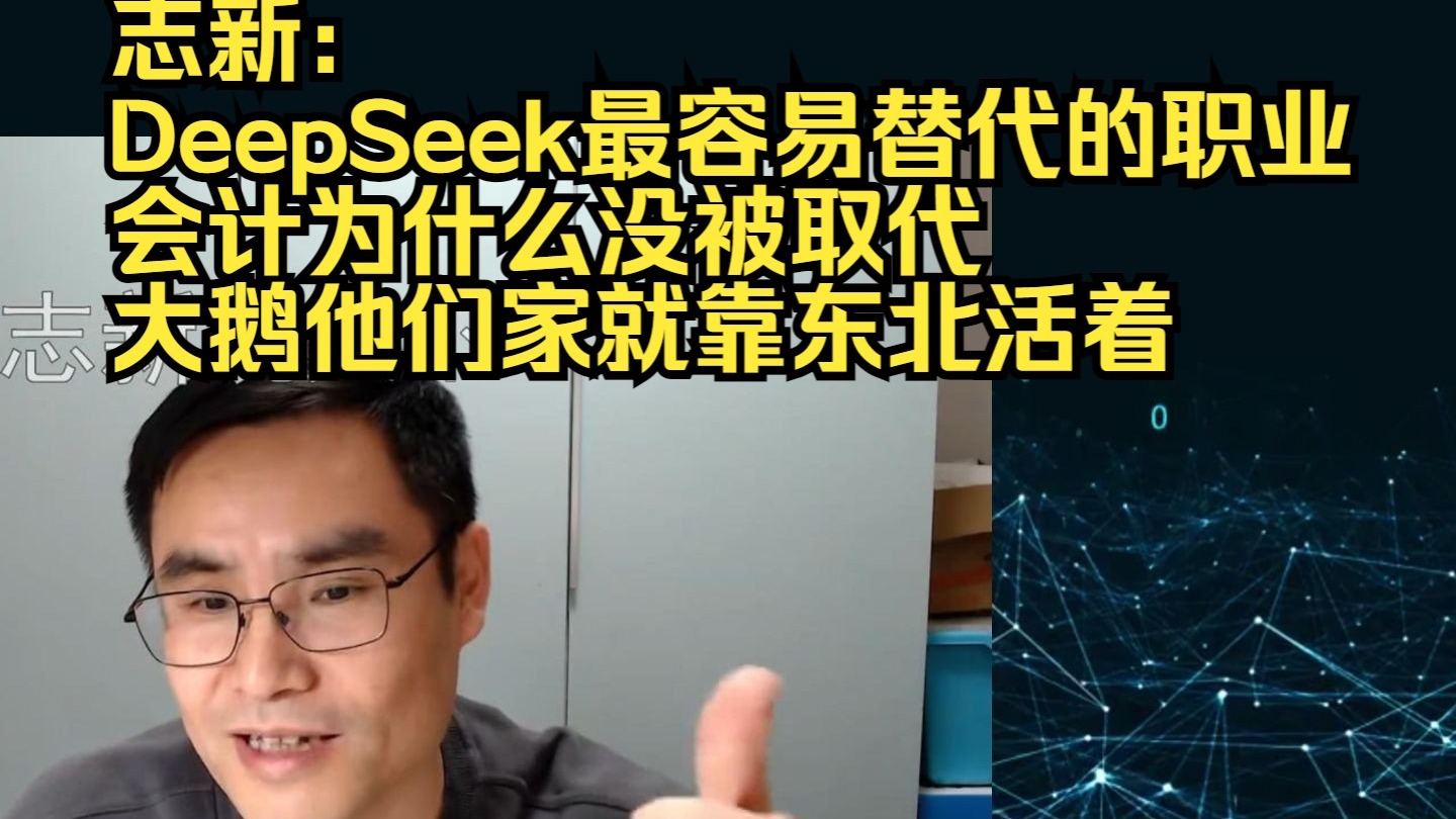 志新:DeepSeek最容易替代的职业,会计为什么没被取代,大鹅他们家就...