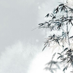 梦缘fi 