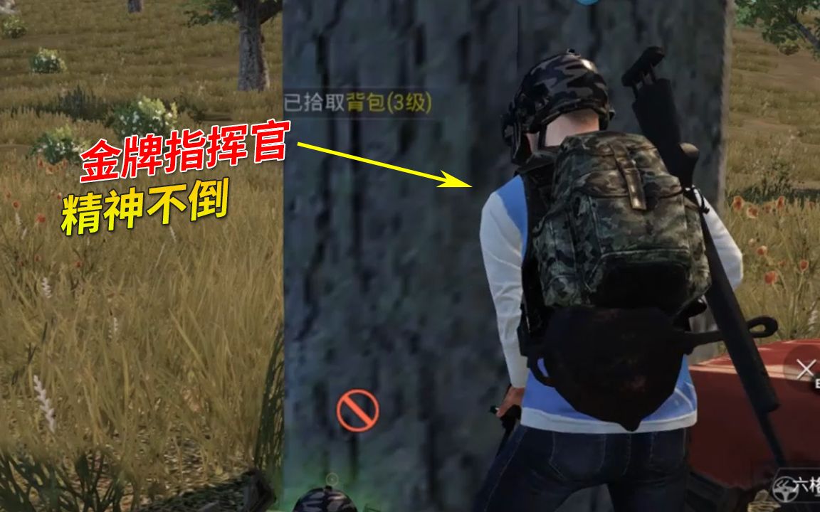 墨渊吃鸡4:金牌指挥官八哥上线,人倒下了精神却不倒