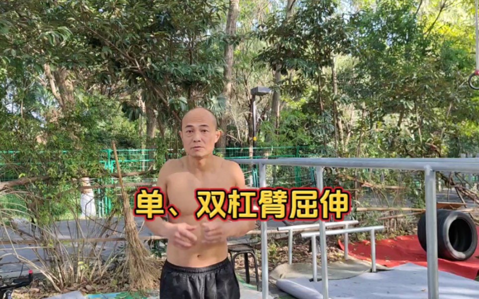 单杠臂屈伸和双杠臂屈伸有什么区别呢?