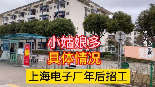 上海电子厂年后招工,我帮粉丝实地资询比亚迪,这边遍地工厂