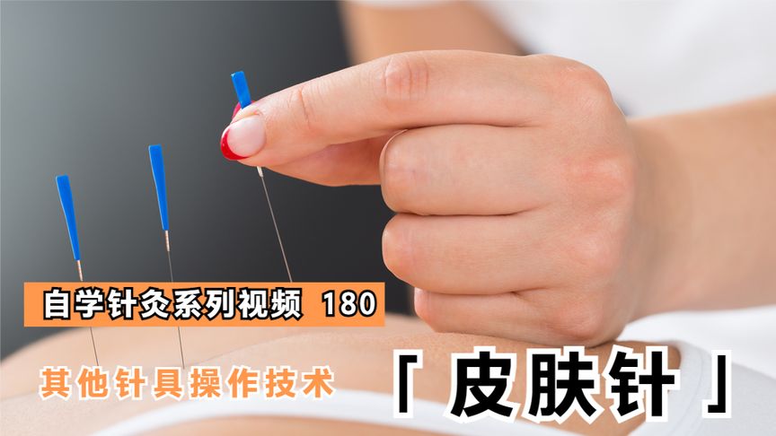 针灸入门-180-皮肤针叩刺部位