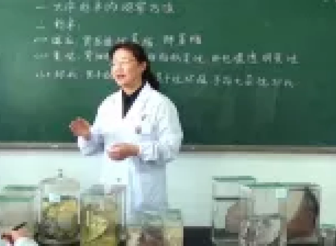 组织的适应、损伤和修复