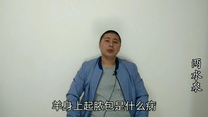 羊身上起脓包是什么病,该怎么预防和治疗