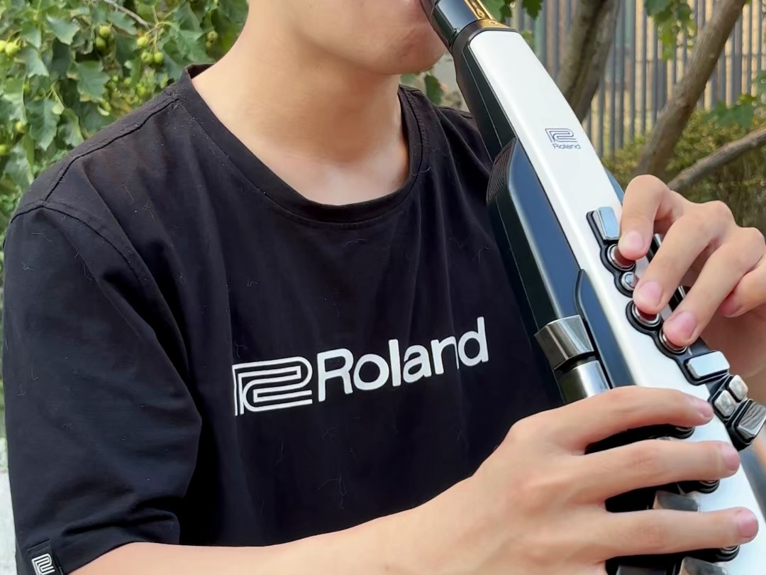 【Roland电吹管AE20】罗兰AE20 埙音色 吹奏《美丽的神话》