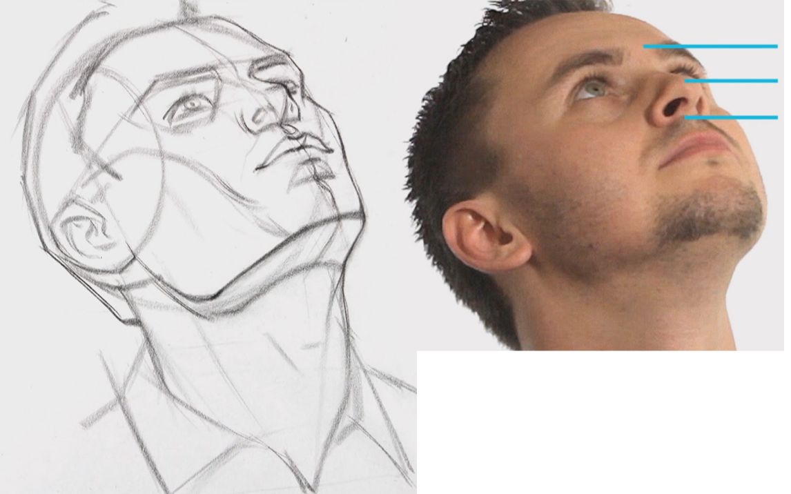 【绘画教程】大仰视的头部怎么画?