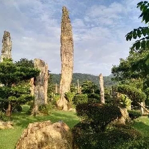 永恒在中国 