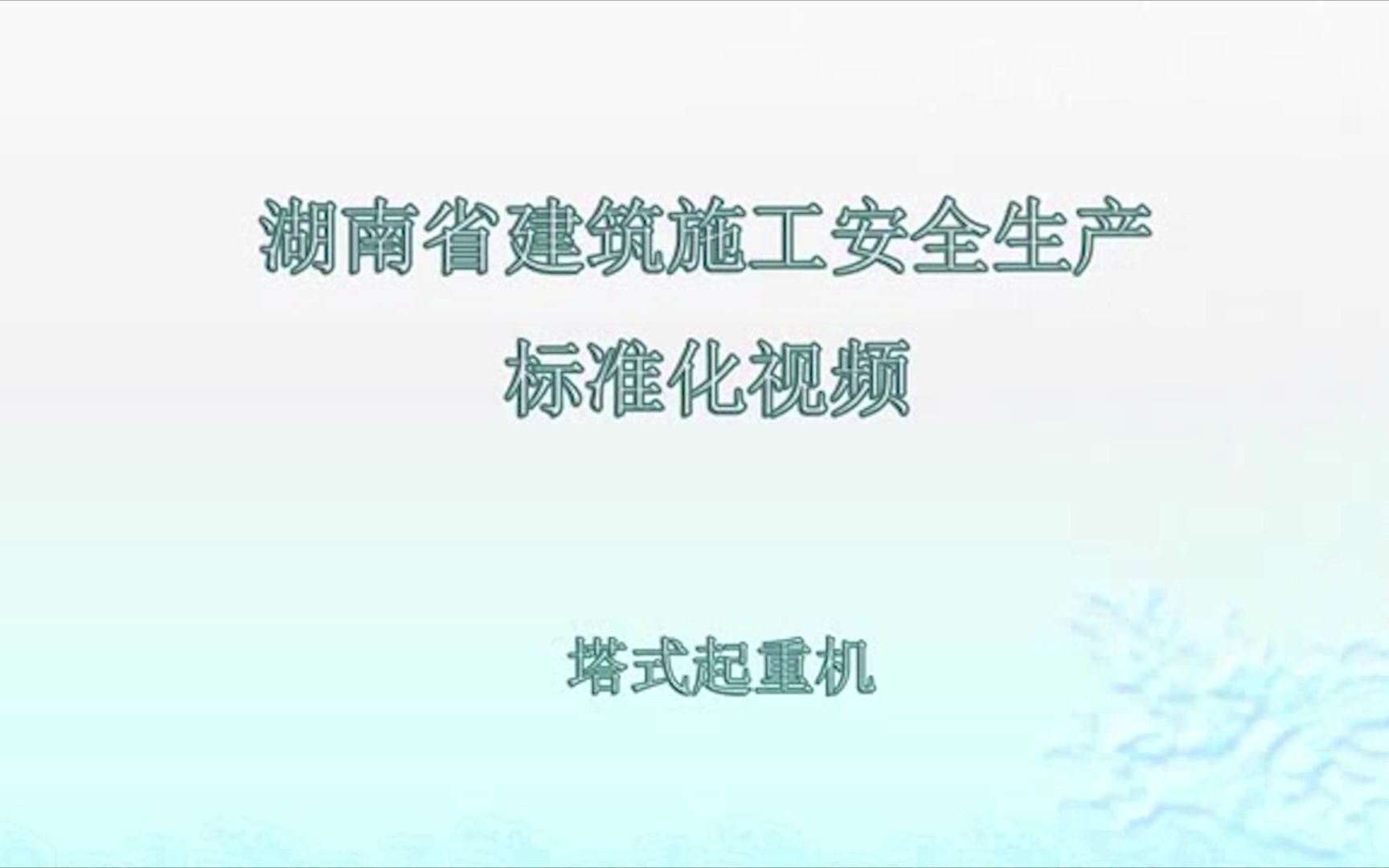 05塔式起重机施工现场安全文明标准化做法视频演示