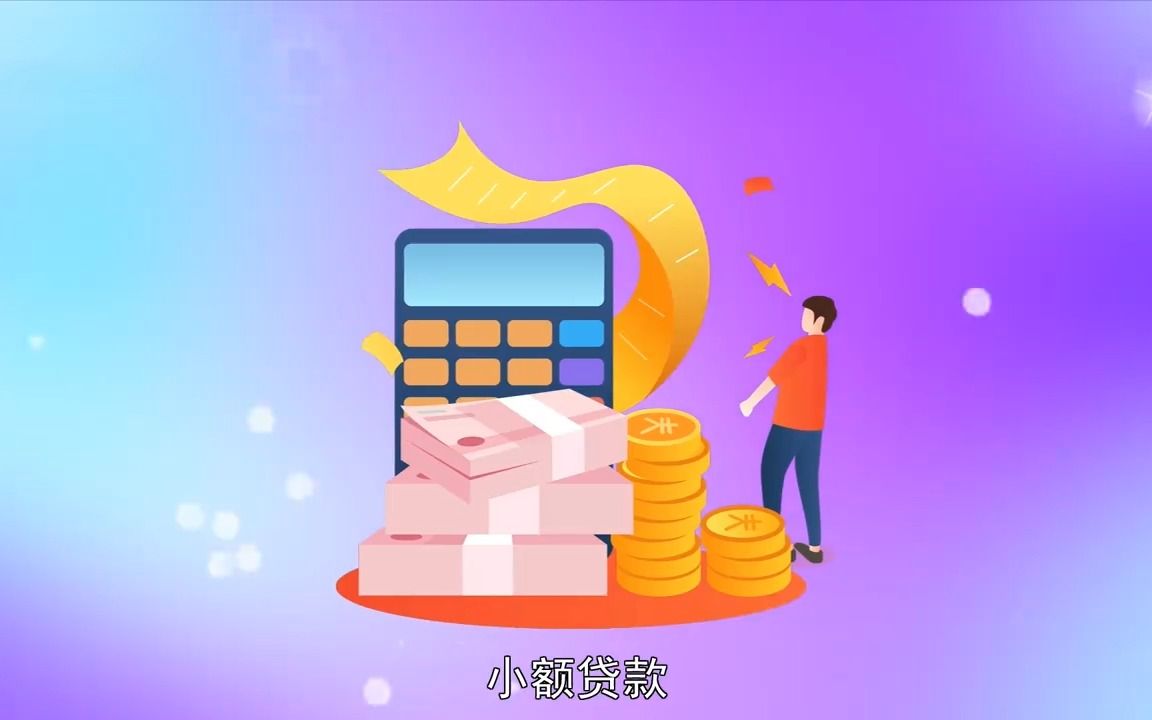 小额贷款-以个人或企业为核心的综合消费贷款