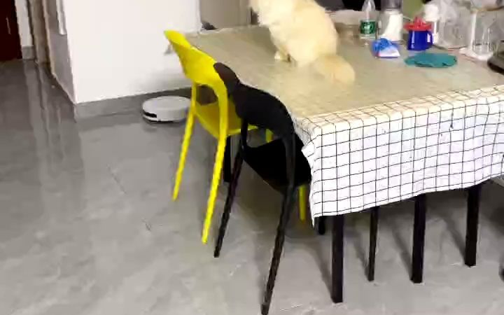 扫地机器人玩出新花样,这个春节“科技黑”成送礼爆品