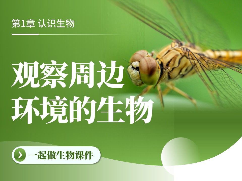 2024新课标七上生物《观察周边环境的生物》课件