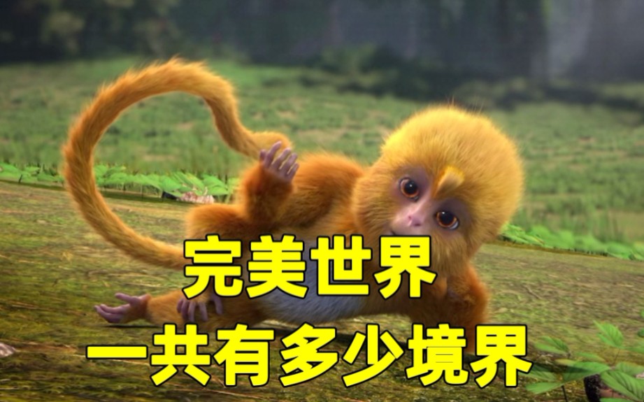 完美世界一共有多少境界?柳神是什么实力