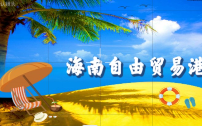 关于海南自由贸易港—生产自用原辅料免征进口关税,增值税,消费税