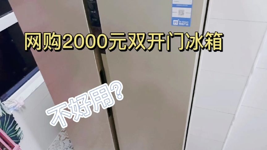 网购2000元品牌双开门冰箱不好用?用了一段时间,没想到这么香
