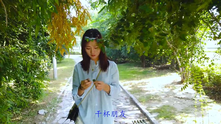 田震《朋友干杯》沧桑的噪音有一种魔力,经典金曲!你肯定听过!
