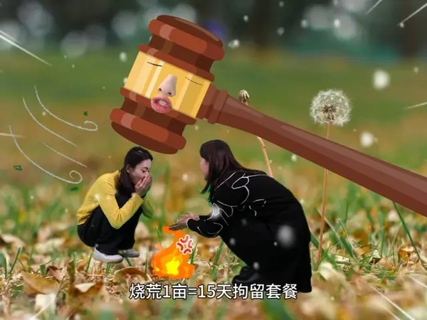 森林防火 人人有责! 森林防火 安全 科普