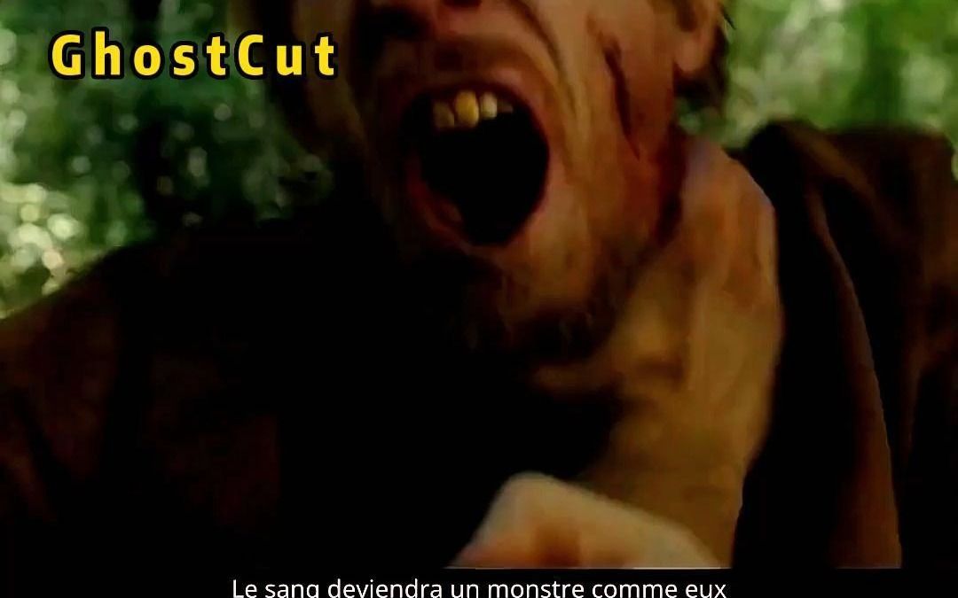 中文翻译成法语,推荐使用这个工具GhostCut