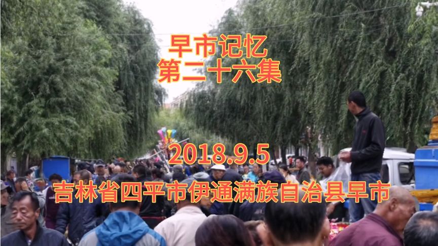 早市记忆 第二十六集 2018.9.5吉林省四平市伊通满族自治县早市
