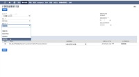 Oracle NetSuite_跨境电商_3_物流及供应链计划管理