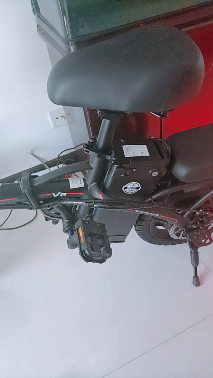 永久电动自行车