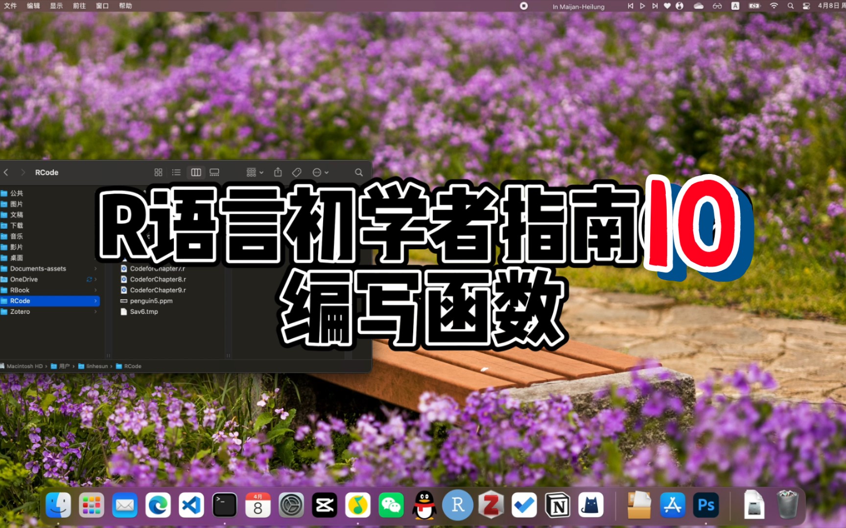 编写函数 R语言初学者指南10