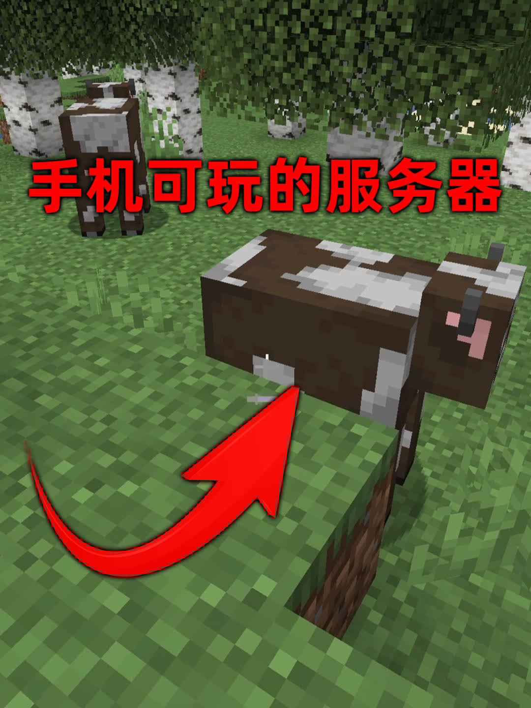 手机基岩版可以玩的生存服务器!