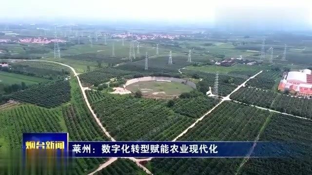 莱州:数字化转型赋能农业现代化