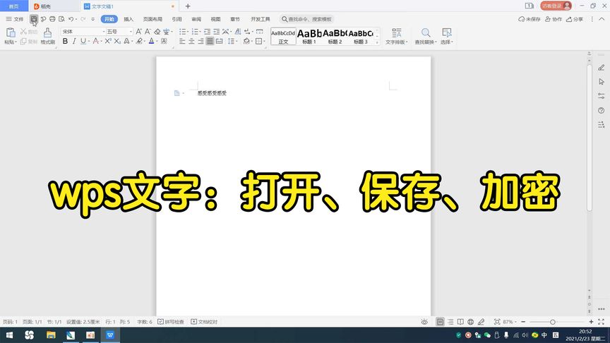 wps文字:打开、保存、加密5