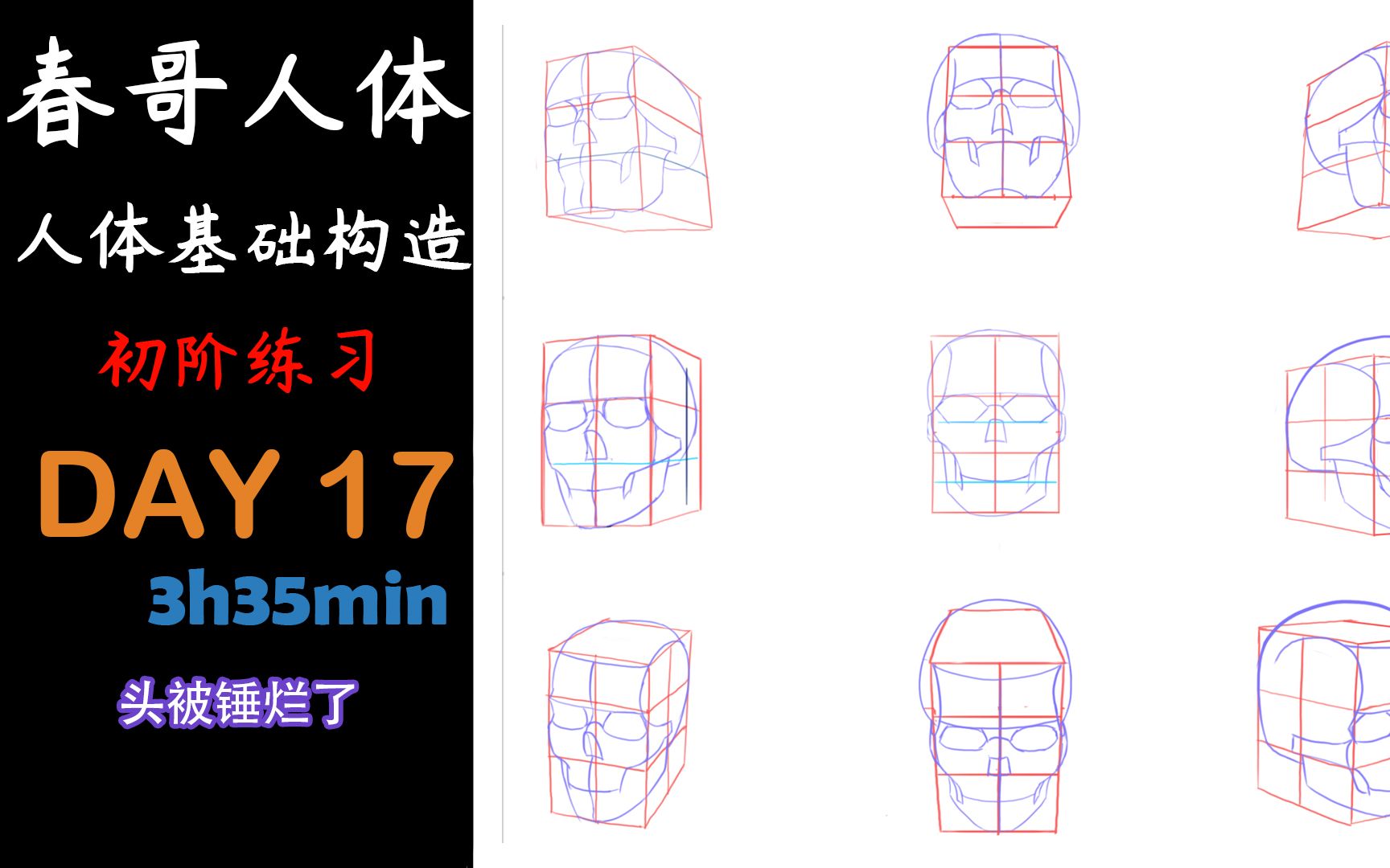 【作业分享】【DAY17】春哥人体结构基础 L1-初阶(狗头被锤烂了)