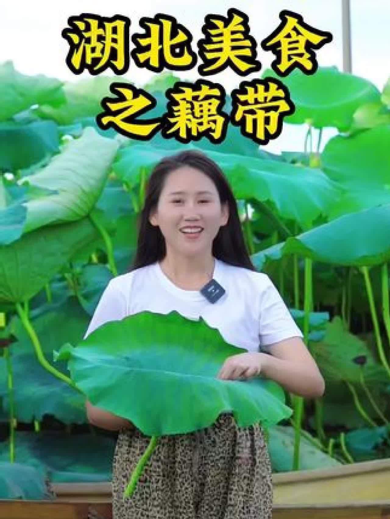 假如你来荆州,带点泡藕带回去吧!#荆州 #藕