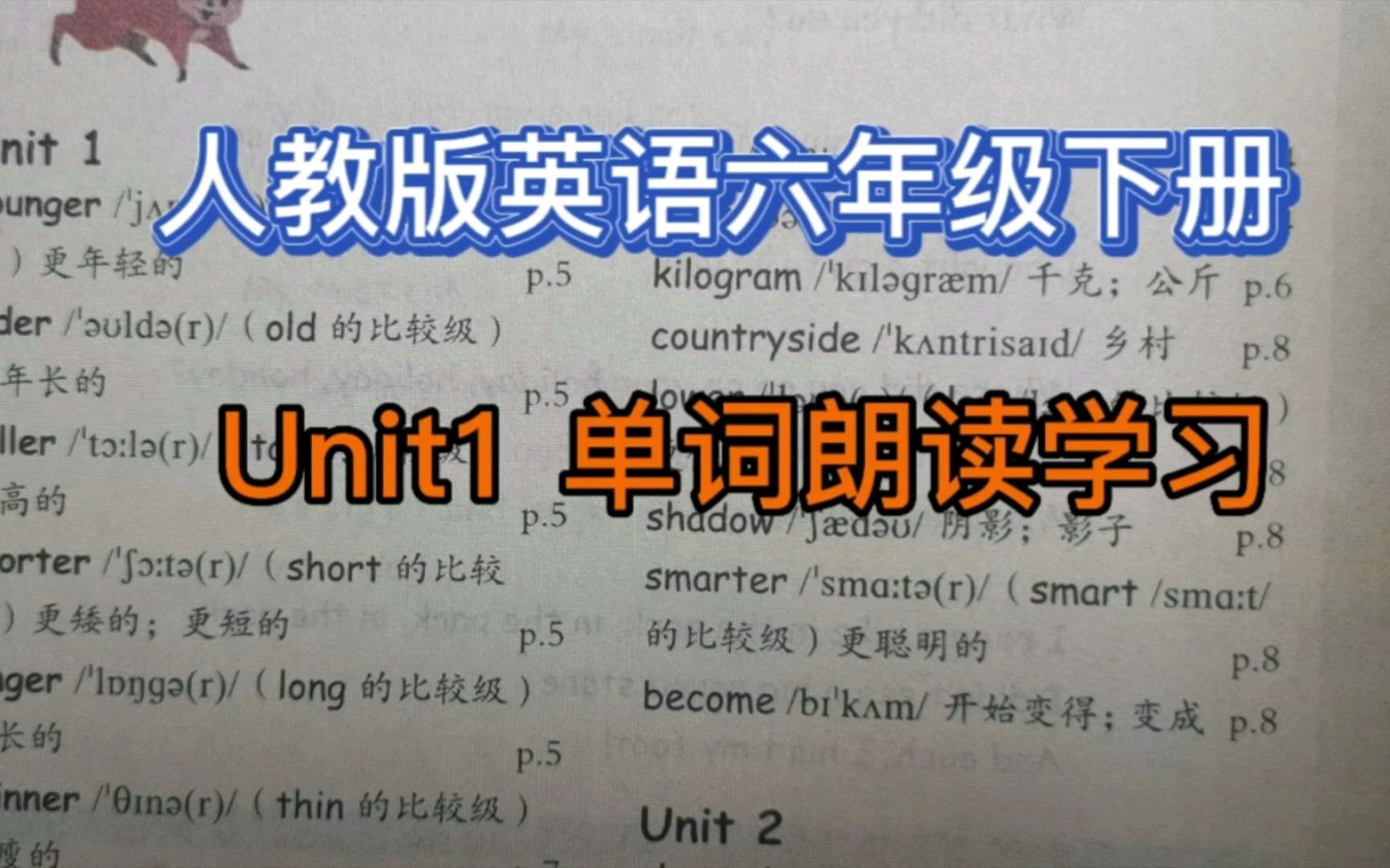 人教版英语六年级下册Unit1单词朗读学习,预习必备