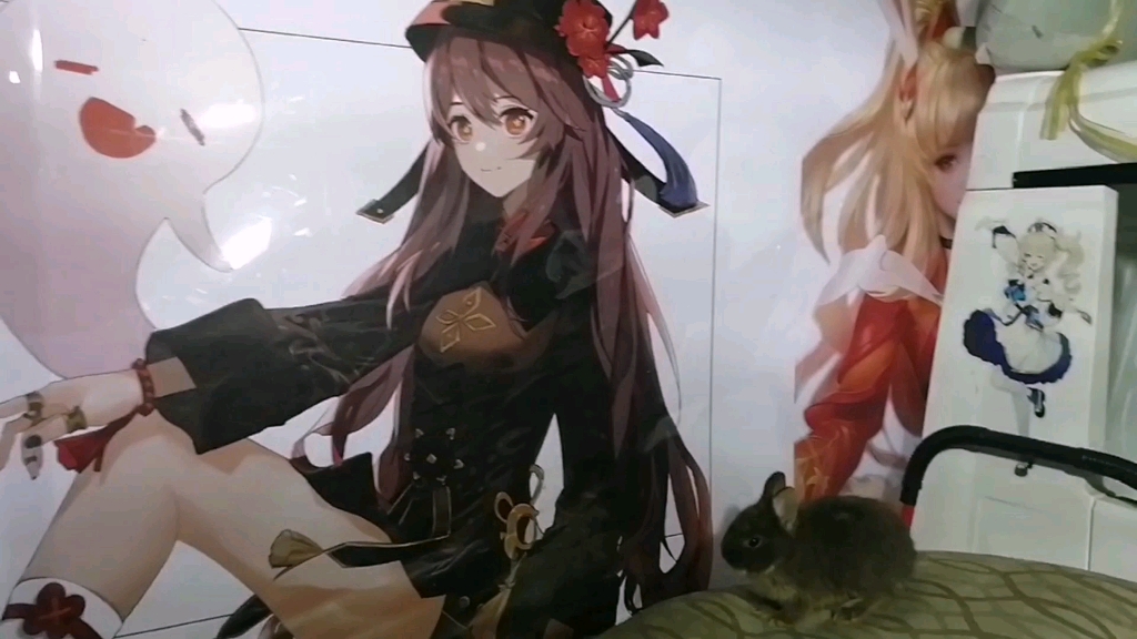 ...小胡桃兔子蹦蹦跳跳跳起舞来 呆萌呆萌哒!怪不得这几天胡桃卡车上...