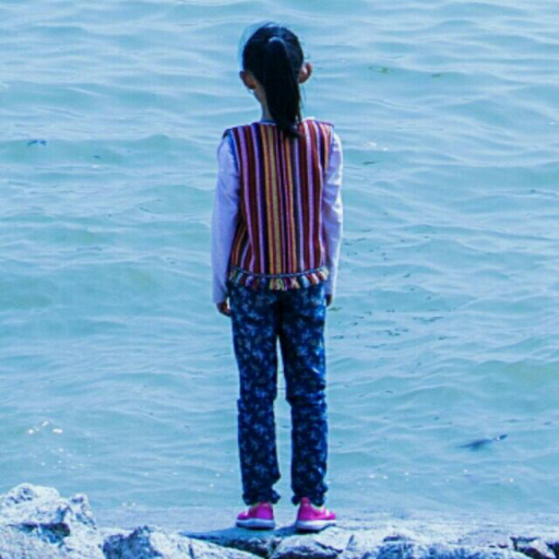 奋斗的咸鱼鱼鱼鱼鱼 