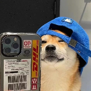 薄荷糖丷心冰凉丶 