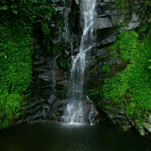 wtybilibiliwty 