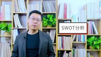 市场营销策划与企业经营管理 第40集 跟孙悟空学SWOT分析,赢得唐僧...