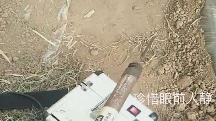 农村种植蔬菜,还有果木的授粉器,知道是怎么用吗?