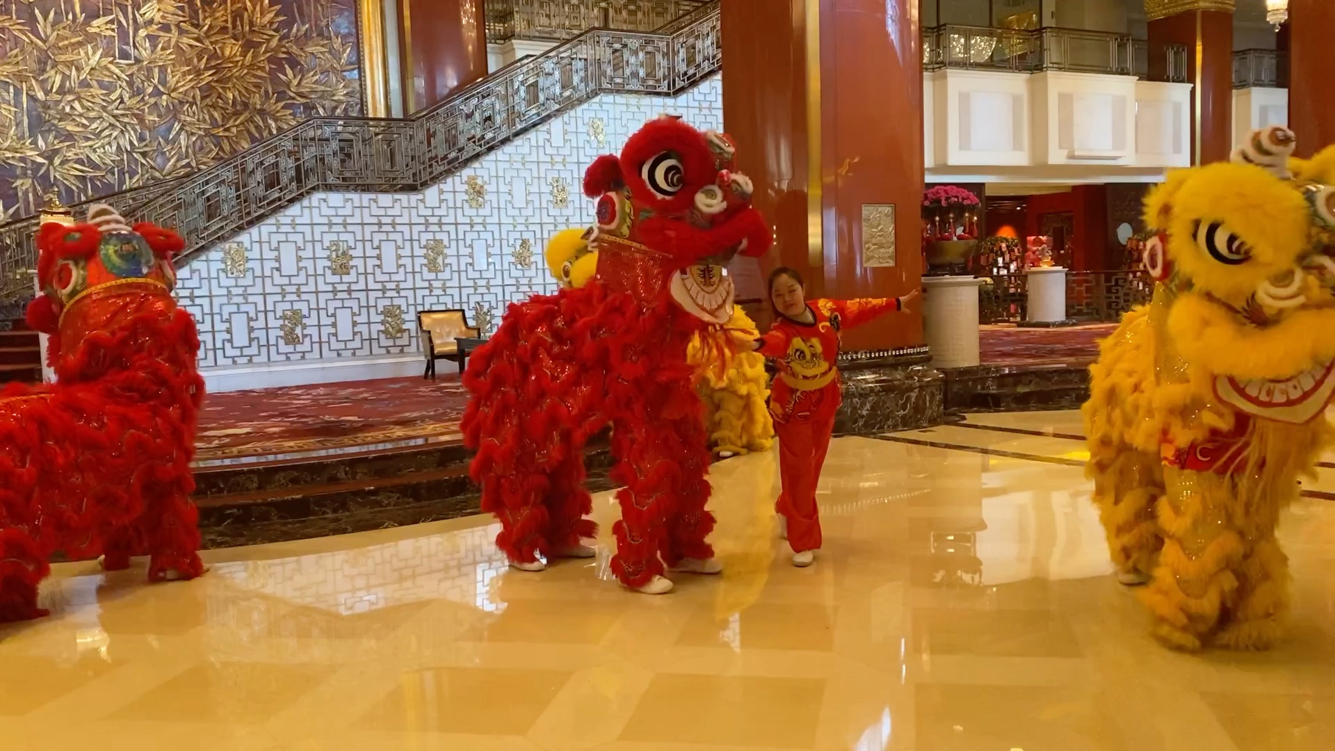 好运来|中国传统文化舞狮