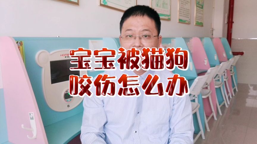 宝宝被猫狗咬伤怎么办?几步教你现场处置!