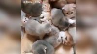 论计划生育的重要性