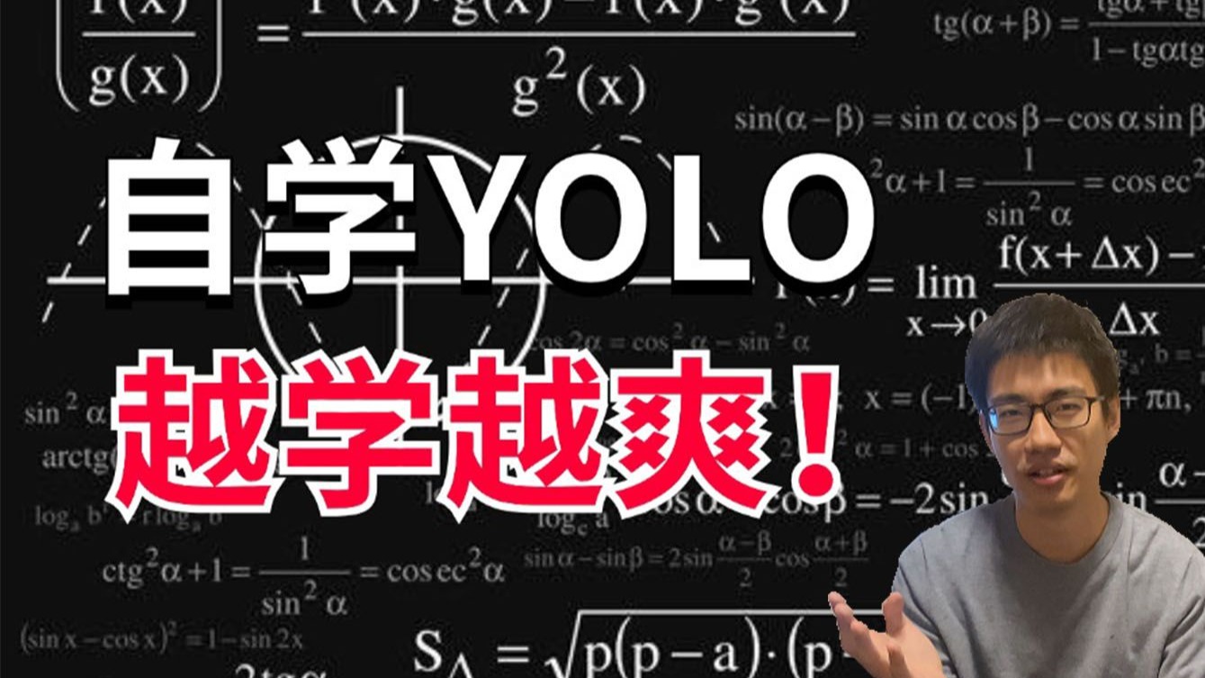 完全自学!全网最好的目标检测-YOLO教程解析,迪哥带你从零上手YOLO...