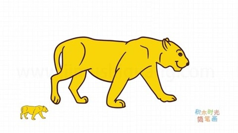 动物简笔画大全,画一只写实的狮子简笔画