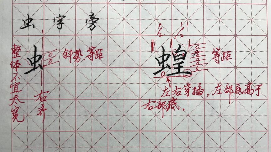 百忍斋张永新老师原创视频 硬笔书法偏旁部首虫字旁的书写法则