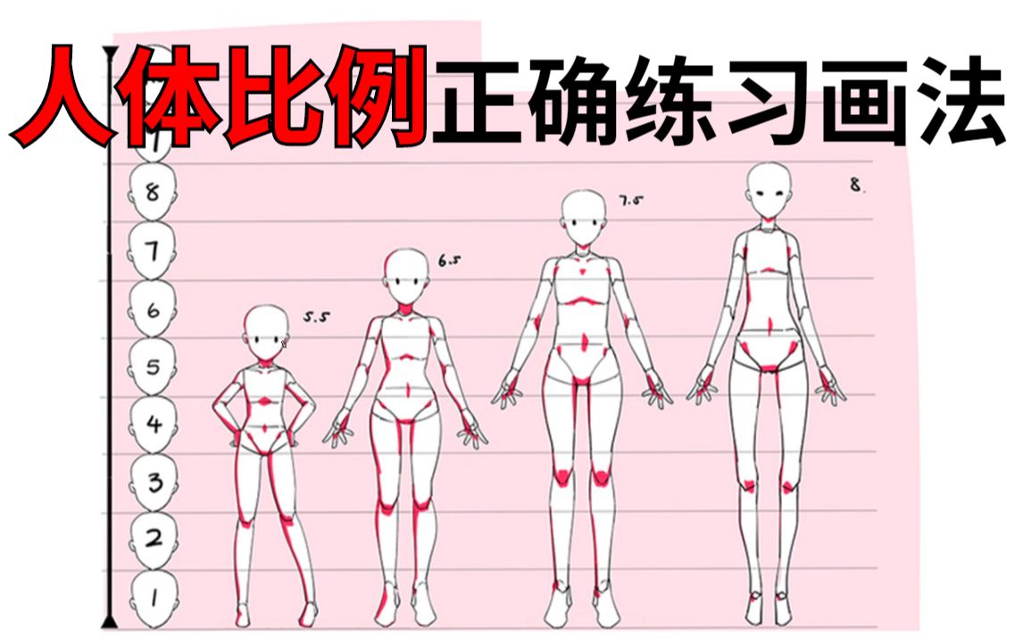【绘画教程】一套人体比例万能公式!零基础也能轻松掌握人体画法!