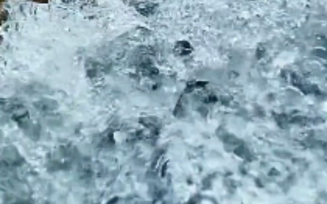 对建筑物拆迁垃圾的清运强行收取管理费或强行分包给其他人的行为...