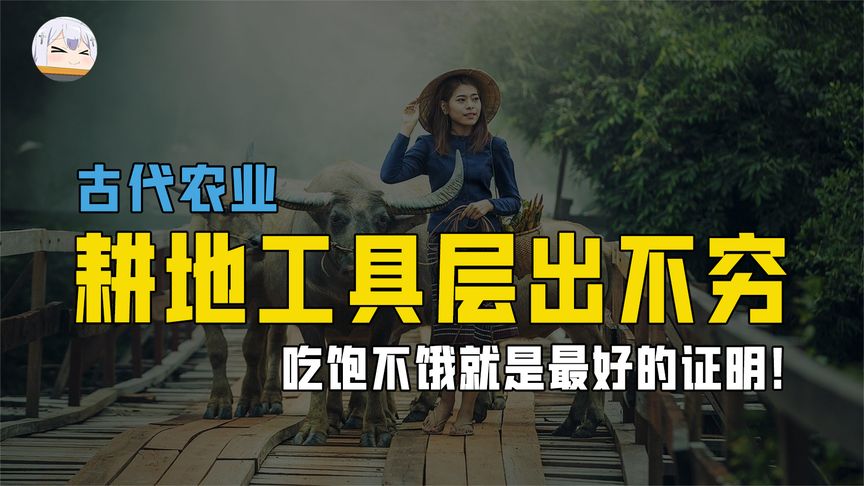 古代农业很重要,耕地的工具层出不穷,吃饱不饿就是最好的证明!