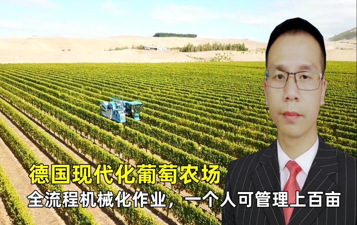 德国现代化葡萄农场,全流程机械化作业,一个人轻松管理上百亩!