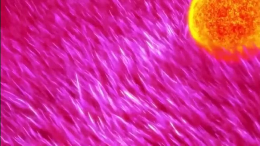 神奇的生命,3D动画:两分钟让你见证婴儿诞生的全过程