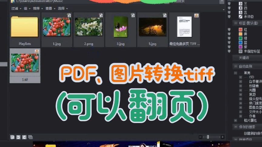 PDF、图片制作多页(可以翻页)的tiff文件 #干货分享 #职场