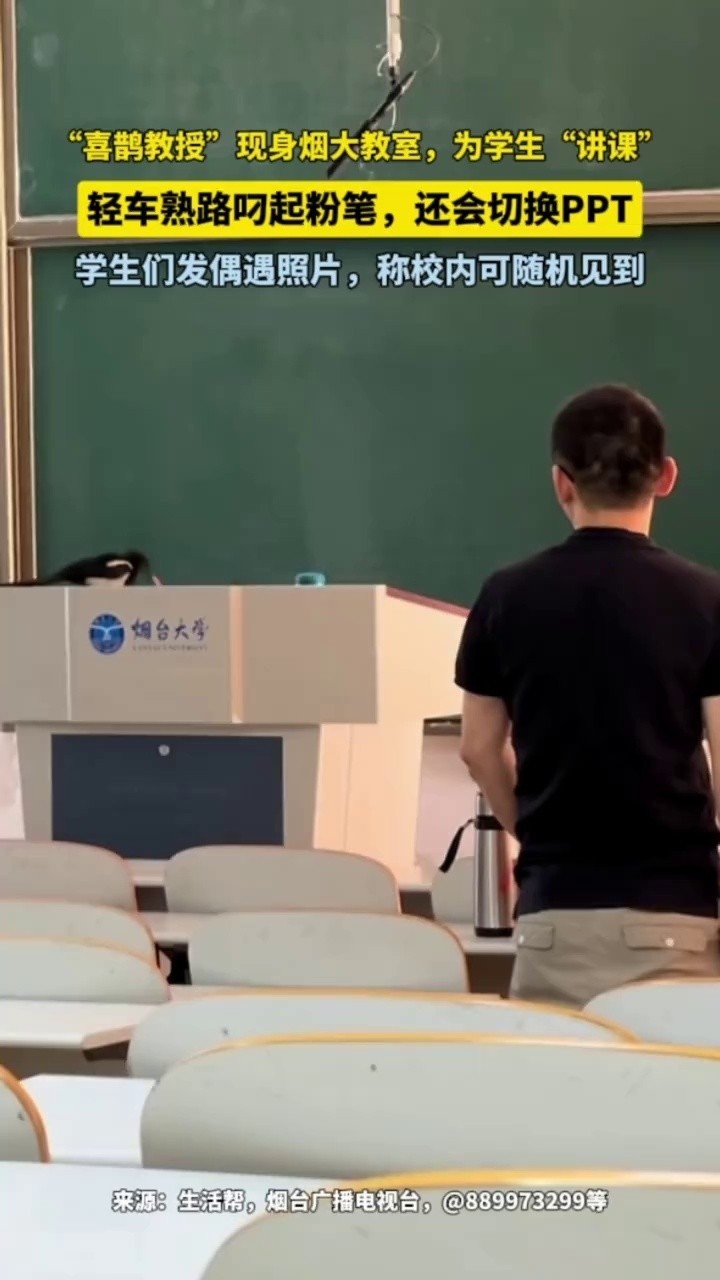 ...为学生"讲课",轻车熟路叼起粉笔,还会切换PPT,学生们发偶遇照片,称...